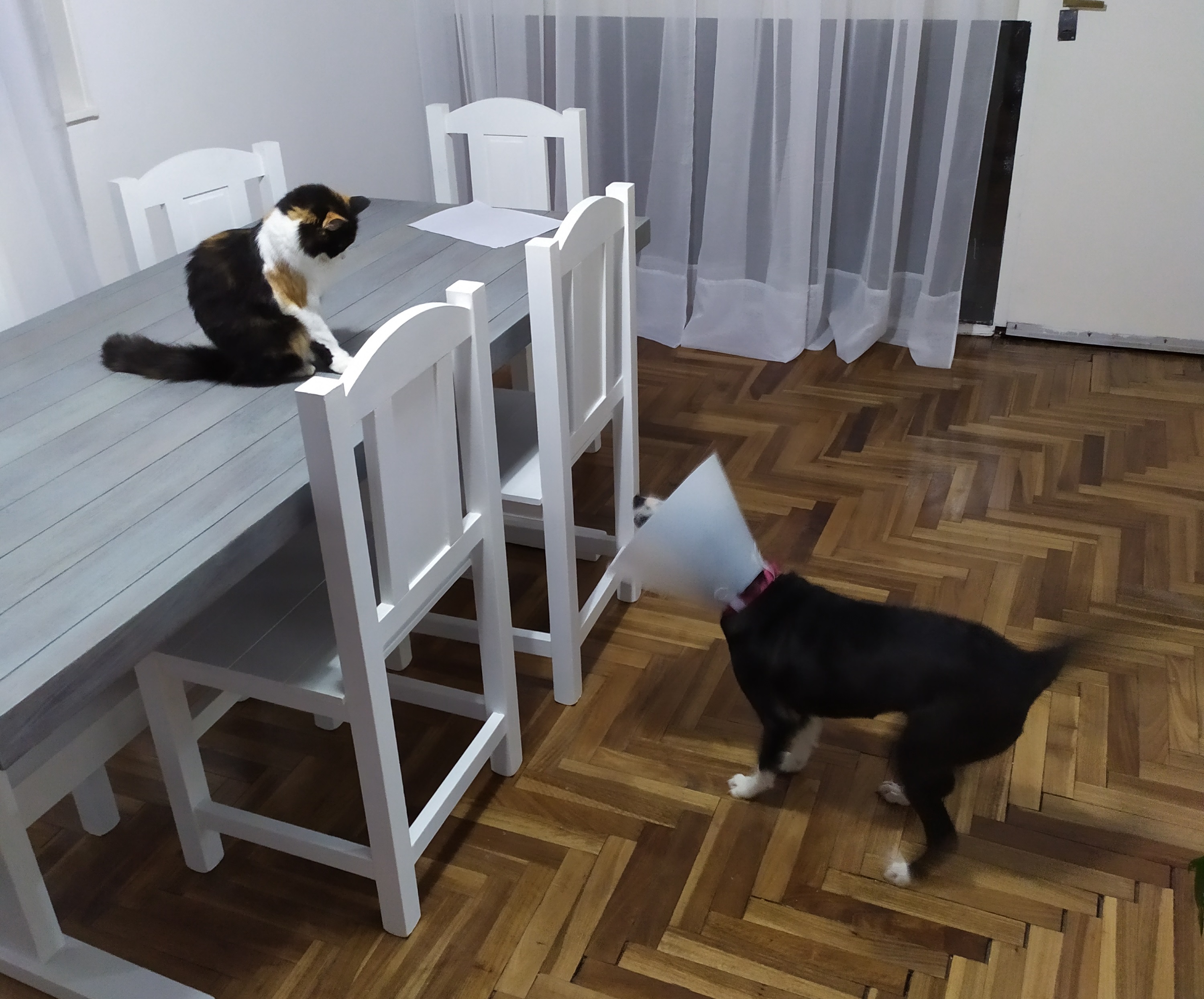 Info-Vis 2020 | Lua Vs. Lisa | Martinez Reumann Hernan